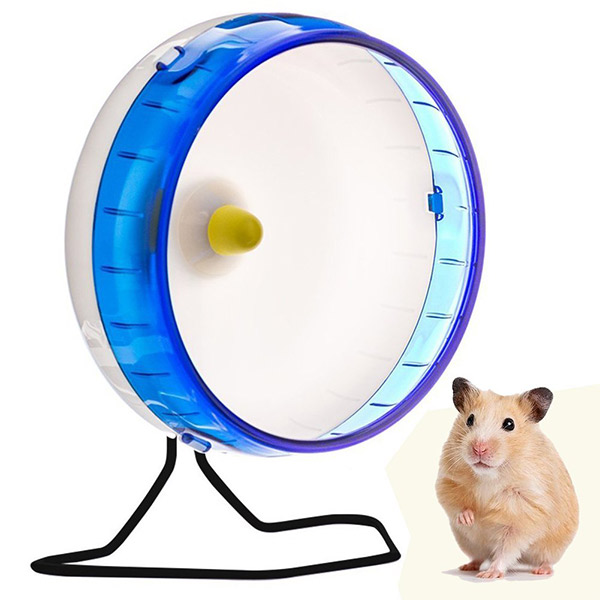 The Everton Hamster Wheel – Rodger’s Everton Reflections